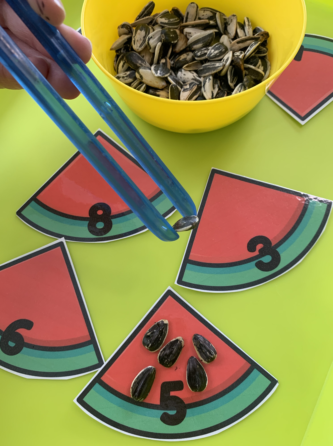 Fine Motor: Watermelon Seeds Counting Activity – Little Learners